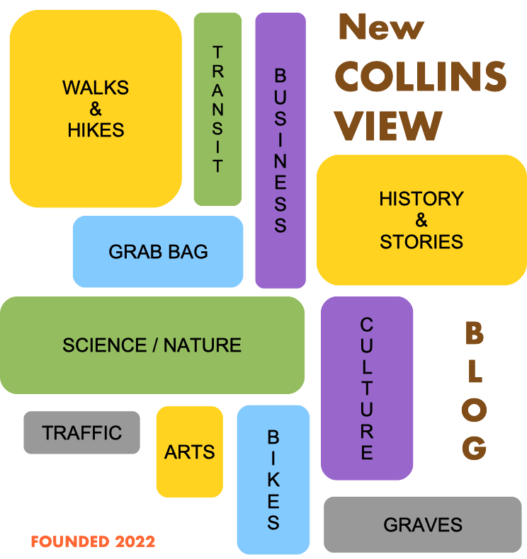 New Collins View Blog