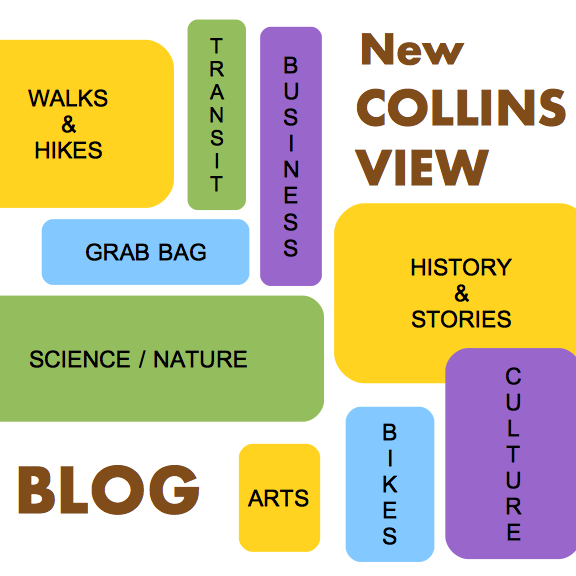 Collins View Triangle